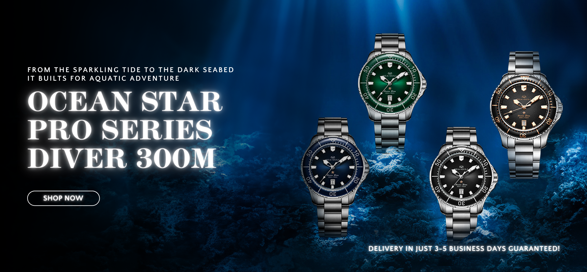 Seagull Watches | Seagull 1963 Watch Official | Seagull Watch Factory