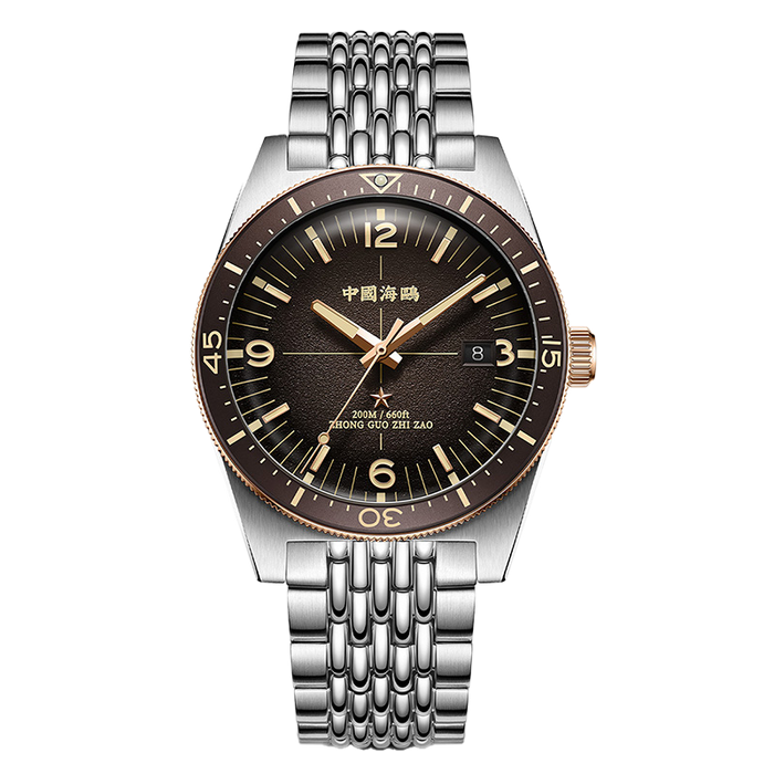 Seagull 1984 Antarctic Expedition Dive 200M Retro Watch