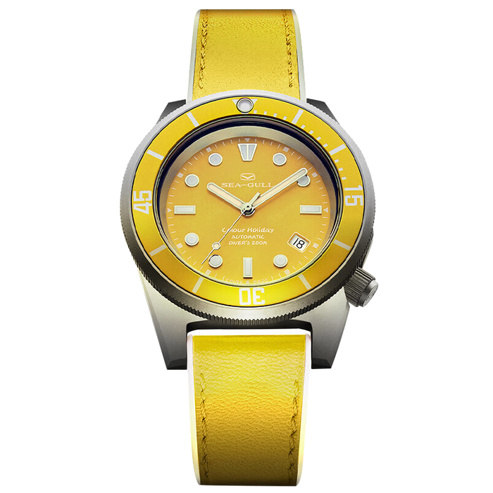 Seagull Ocean Multi-colored Diver Watch | Seagull Official